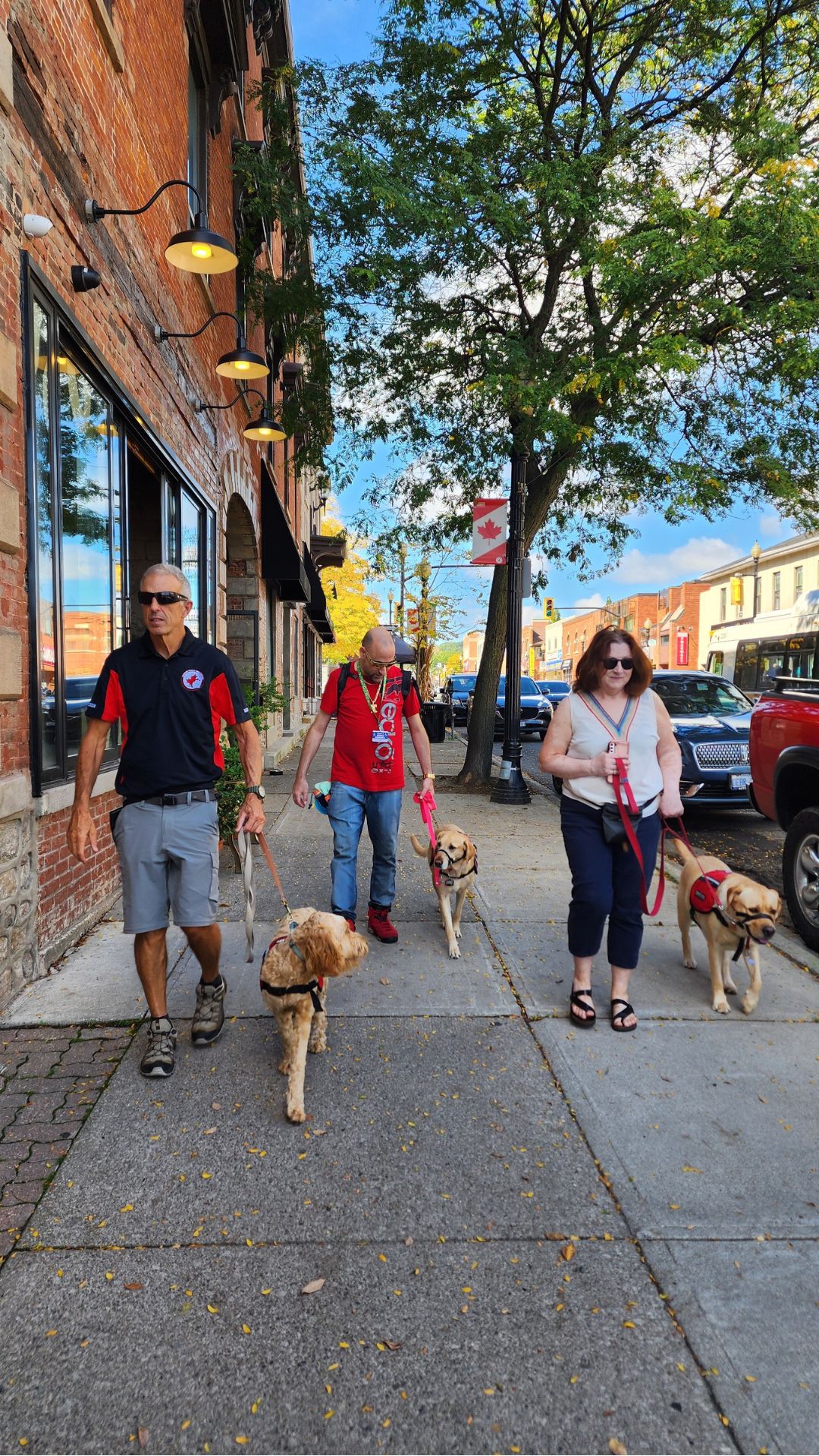 Canine Support Service - Professional Dog Training & Service Dog ...